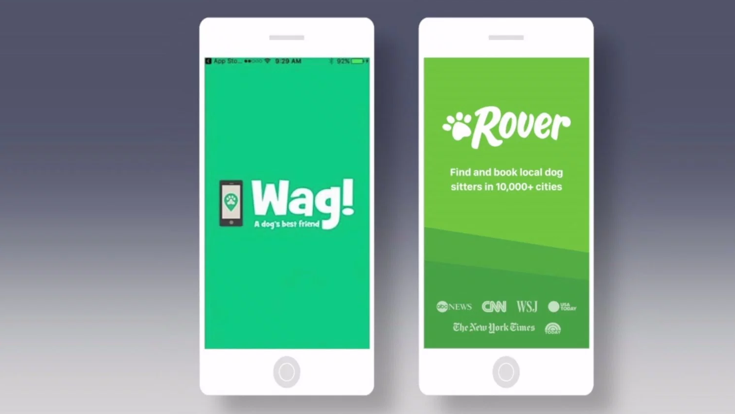 The Daily Wag! - Wag!